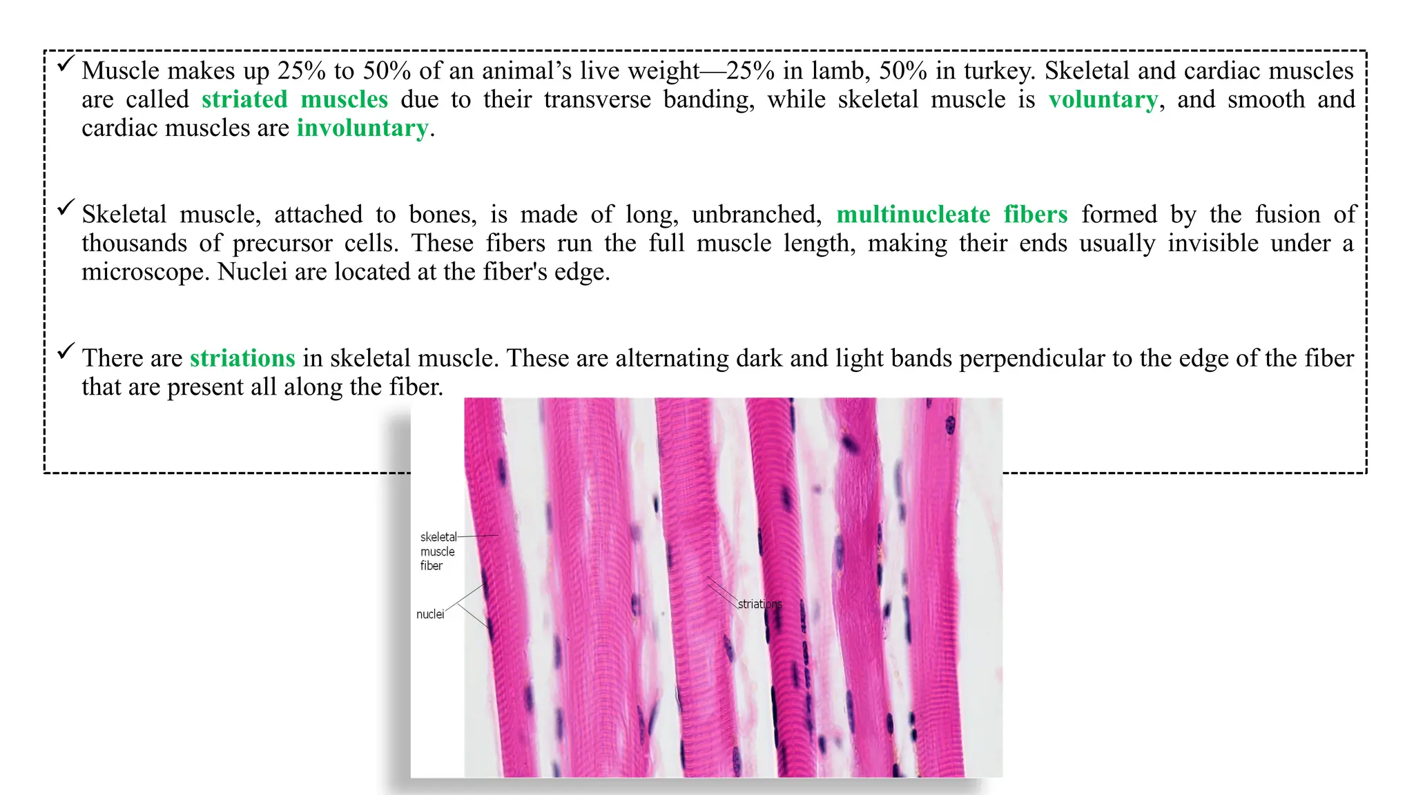 Microstructure of muscle and its role in meat tenderness | PPTX