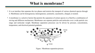 Membrane concentration in Dairy industry: ultrafiltration and reverse ...
