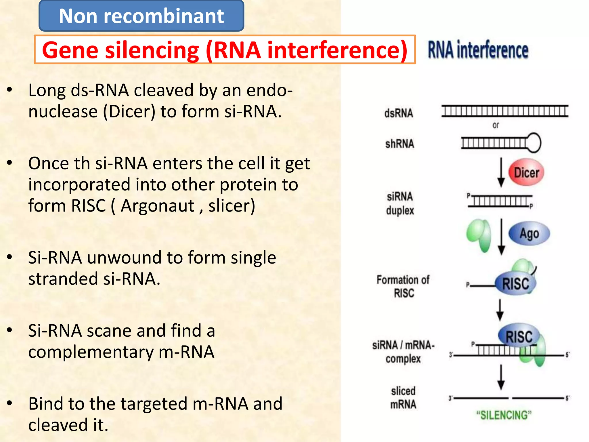 REVERSE GENETICS | PPTX