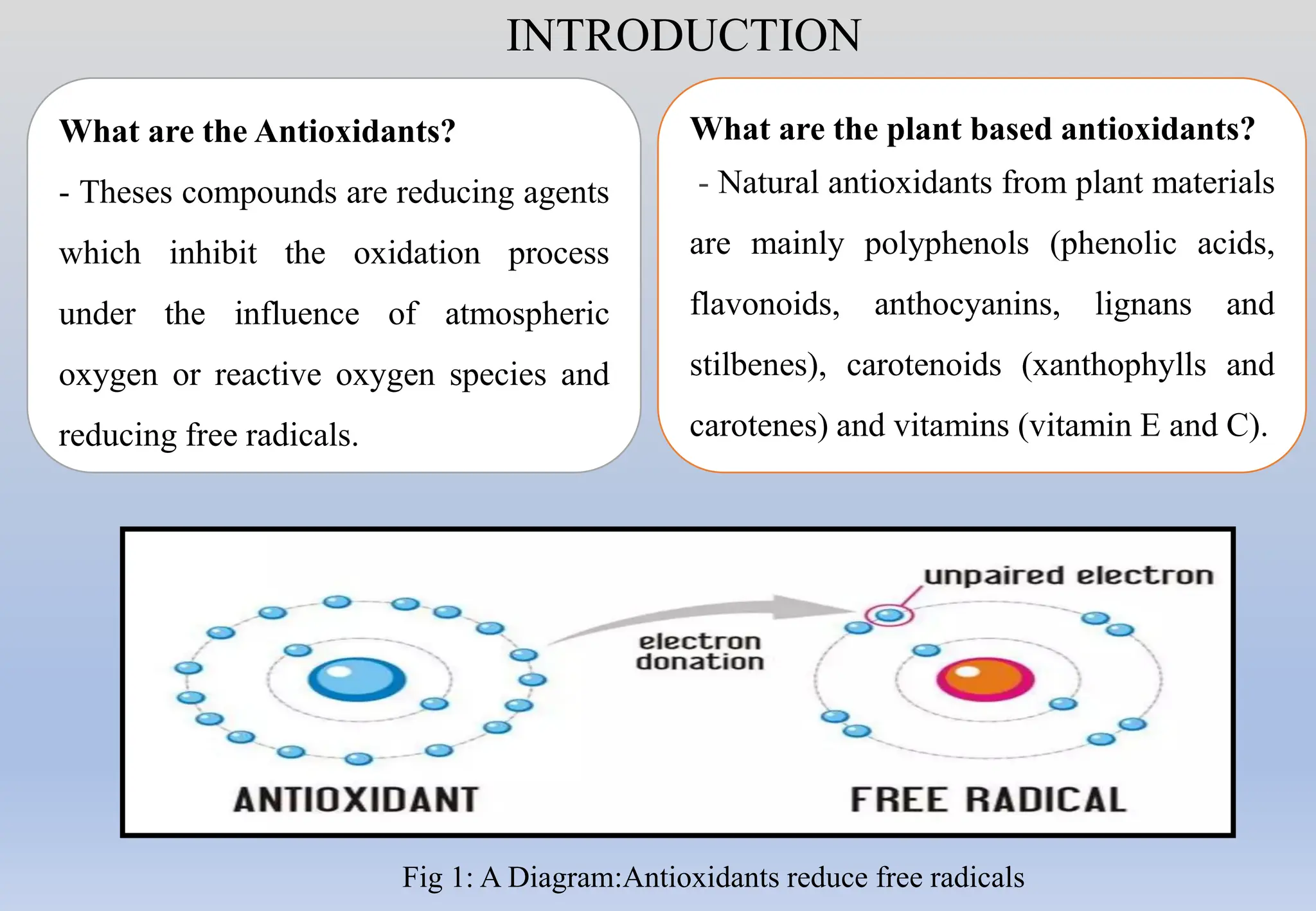 PLANT BASED ANTIOXIDANT AND THEIR APPLICATION | PDF