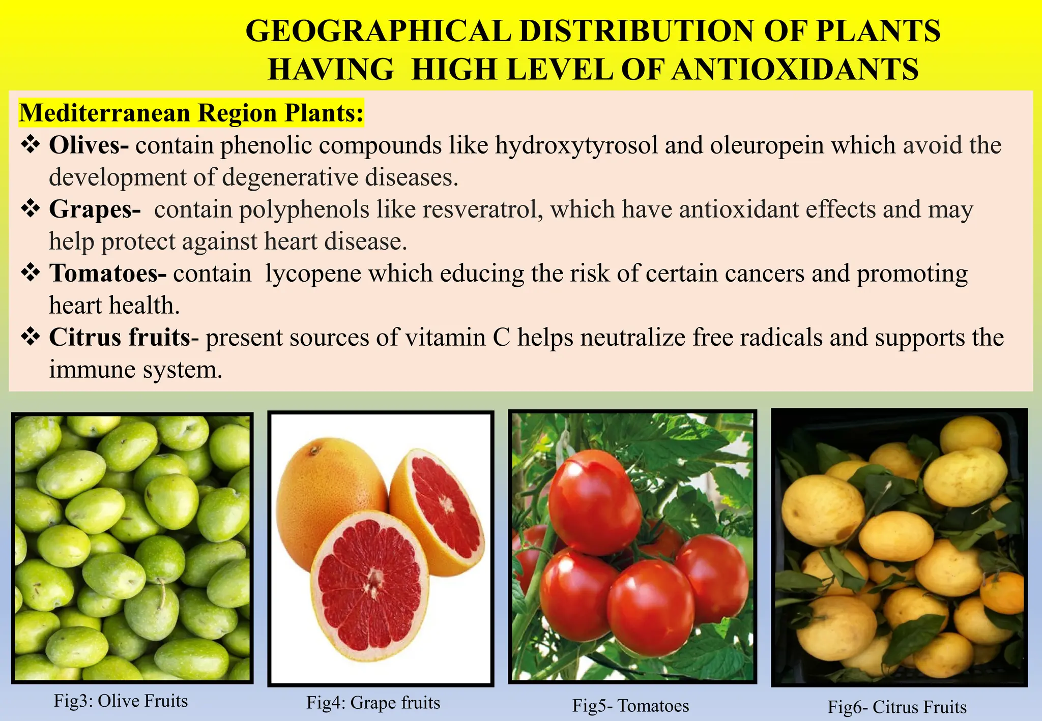 PLANT BASED ANTIOXIDANT AND THEIR APPLICATION | PDF
