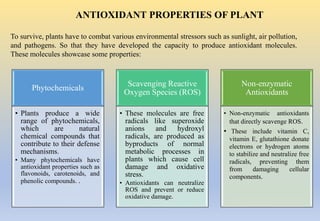 PLANT BASED ANTIOXIDANT AND THEIR APPLICATION | PDF