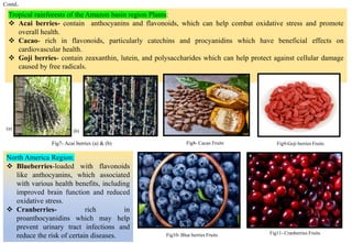 PLANT BASED ANTIOXIDANT AND THEIR APPLICATION | PDF