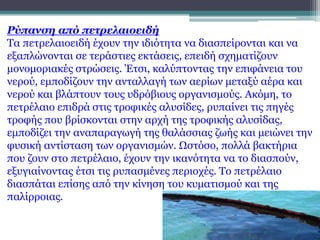 ΡΥΠΑΝΣΗ ΥΔΑΤΩΝ | PPTX