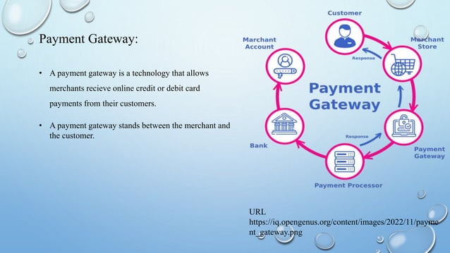 Rupay(Indian Payment system and Card Network.pptx