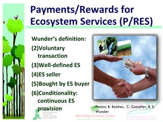 Climate Change Mitigation and Adaptation: The Case of the Ikalahan ...