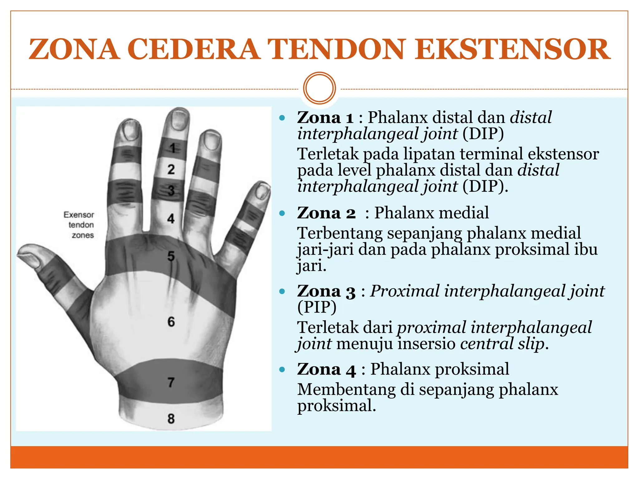 ruptur-tendon-baru_compress tangan | PDF