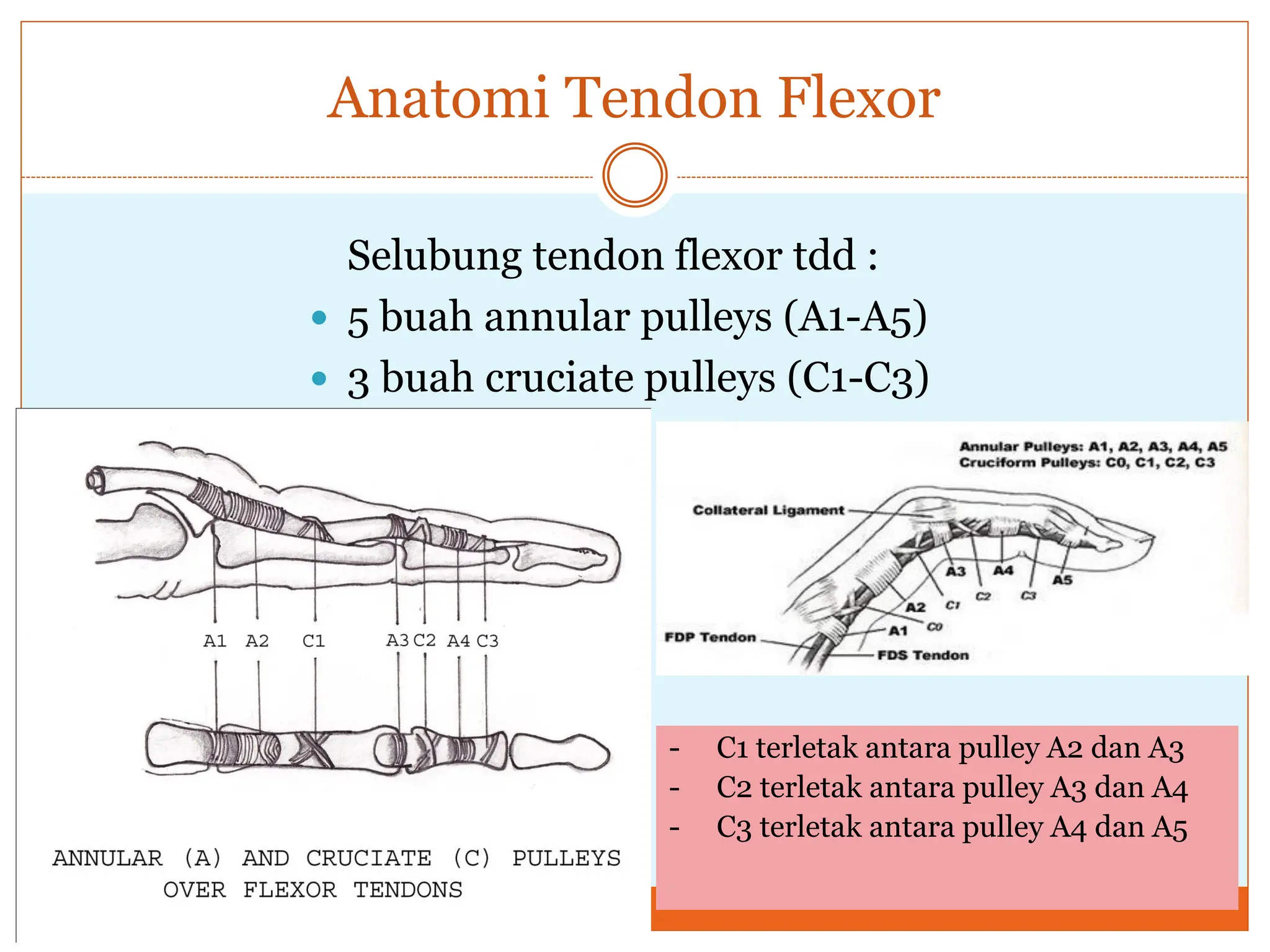ruptur-tendon-baru_compress tangan | PDF