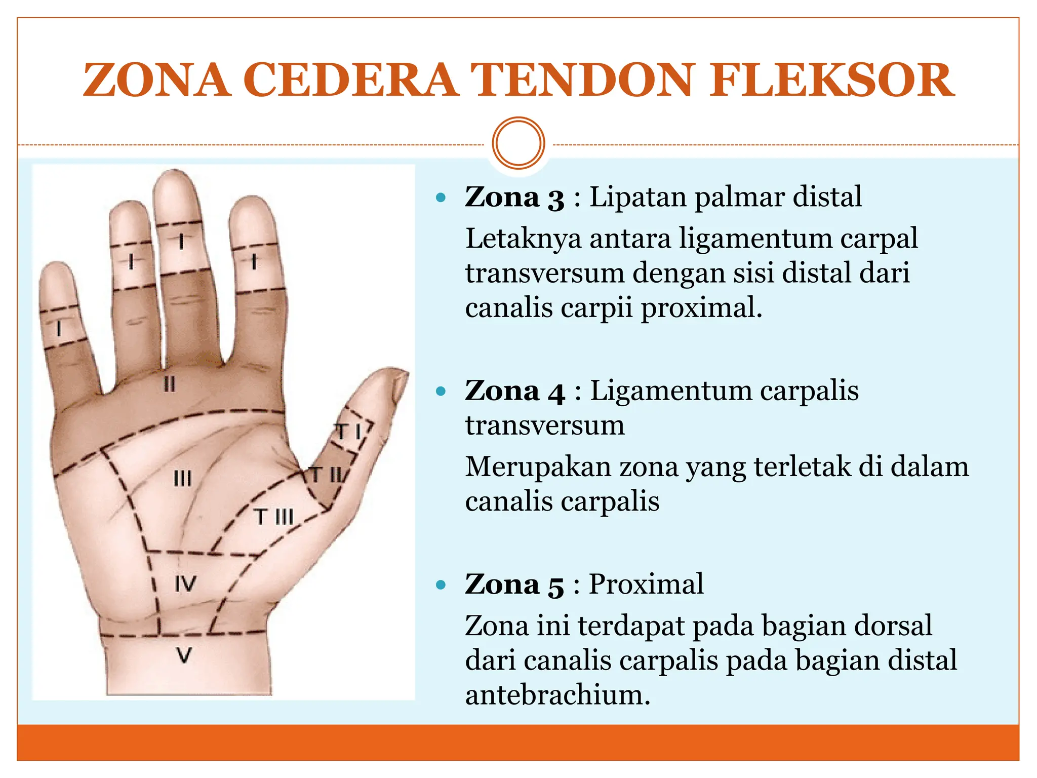 ruptur-tendon-baru_compress tangan | PDF