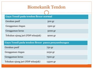ruptur-tendon-baru_compress tangan | PDF