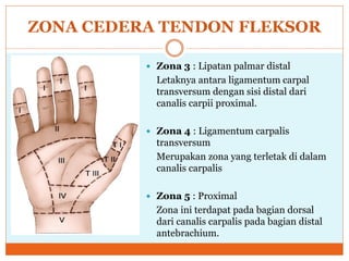 ruptur-tendon-baru_compress tangan | PDF