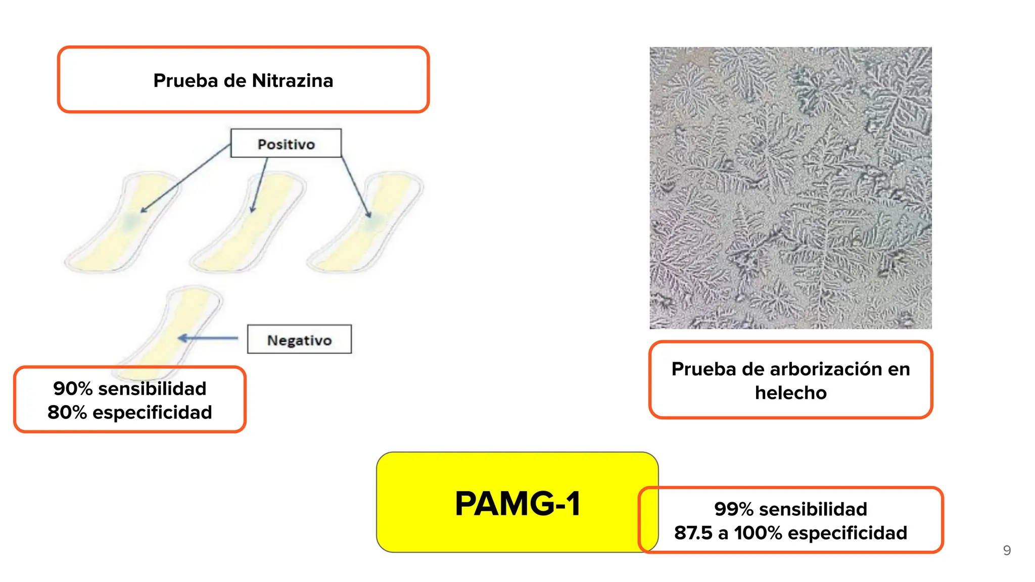 RUPTURA PREMATURA DE MEMBRANAS MSP .pdf