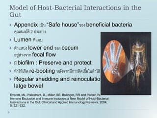 Rupture appendicitis | PPTX