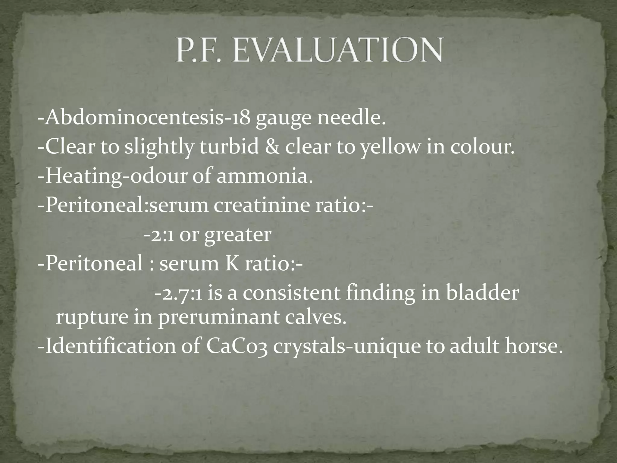 Rupture of urinary bladder in large animals copy (2) | PPTX | Digestive ...