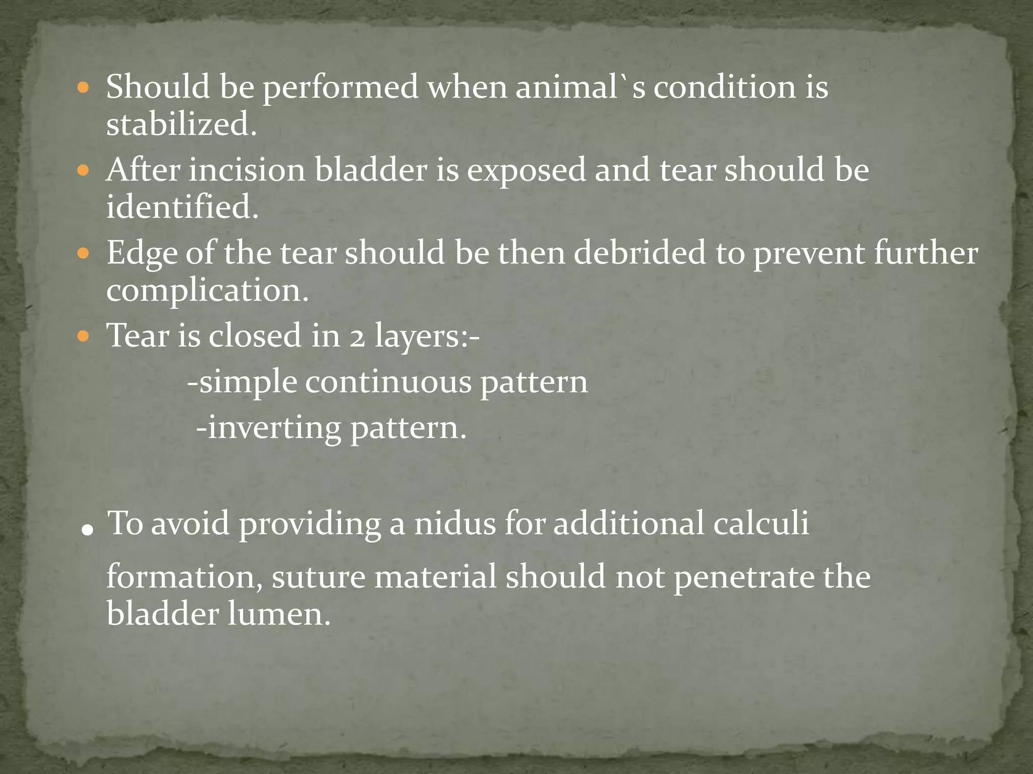 Rupture of urinary bladder in large animals copy (2) | PPTX | Digestive ...