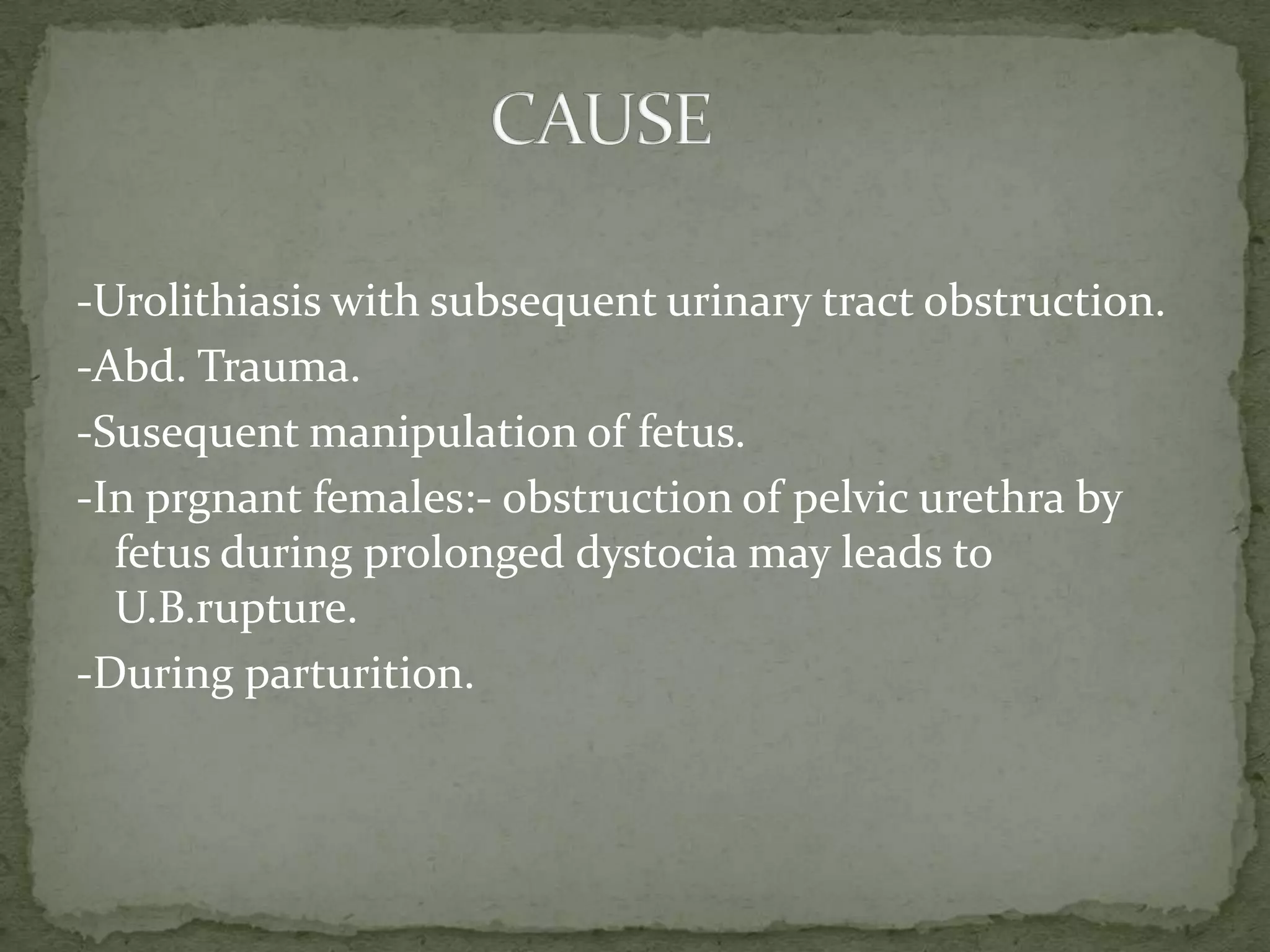 Rupture of urinary bladder in large animals copy (2) | PPTX | Digestive ...