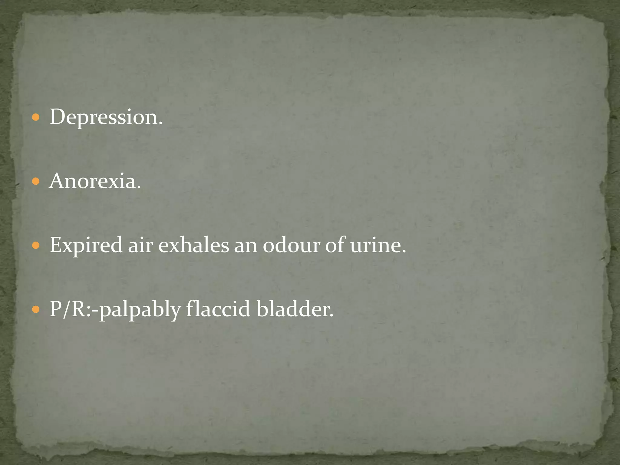 Rupture of urinary bladder in large animals copy (2) | PPTX | Digestive ...