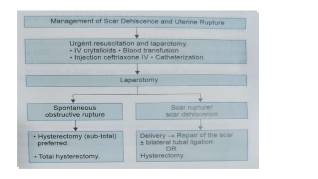Rupture of uterus gynaecology presentation | PPT
