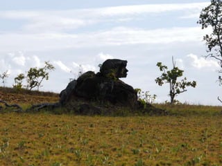 Scenes of the Rupununi | PPT