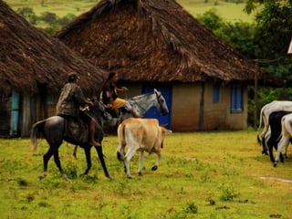 Scenes of the Rupununi | PPTX