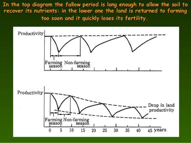 Shifting Cultivation Diagram