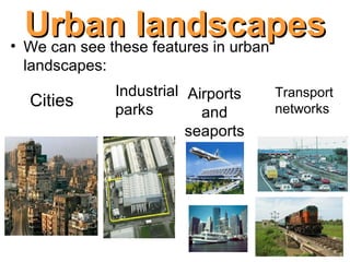 Rural and urban landscapes | PPT