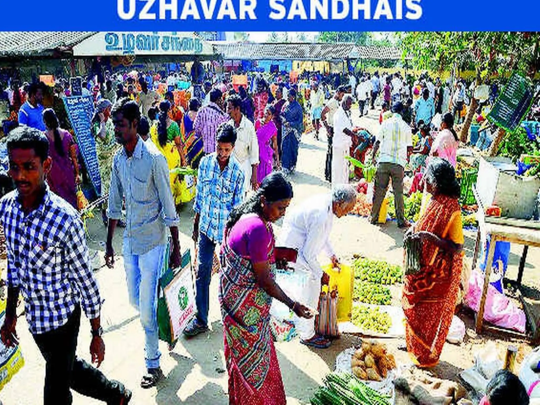 RURAL DEVELOPMENT for class 12 economics | PPTX