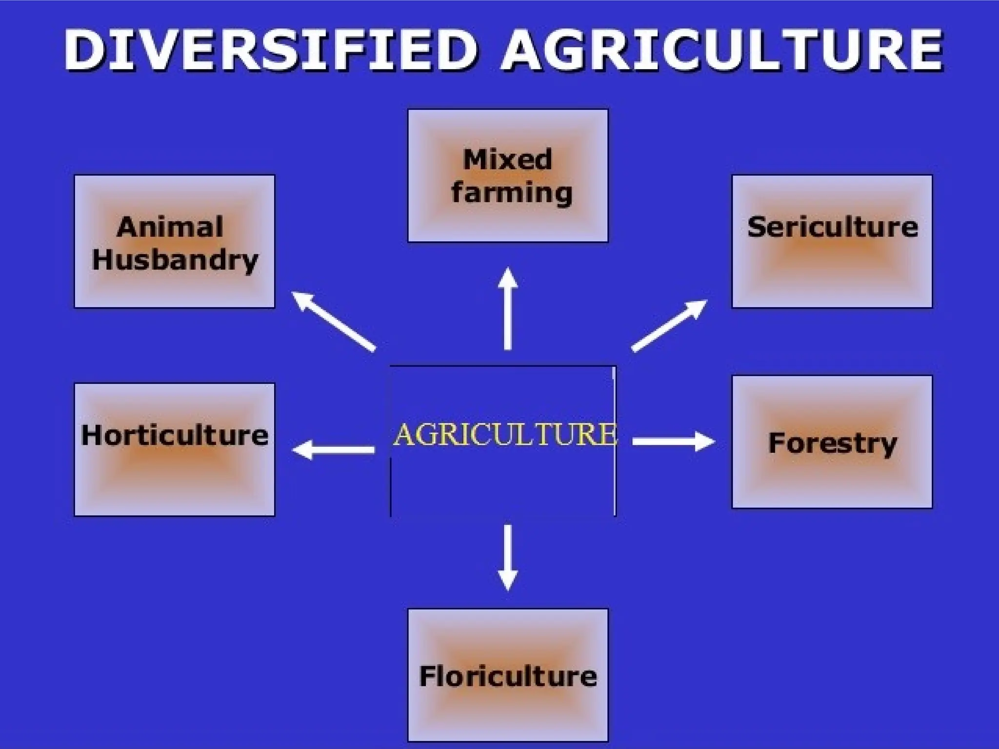 RURAL DEVELOPMENT for class 12 economics | PPTX