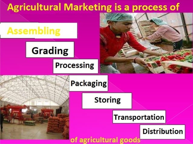 RURAL DEVELOPMENT for class 12 economics | PPTX