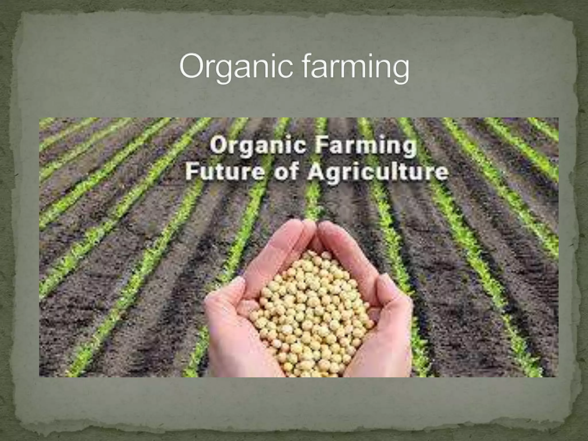 Rural development class 12 Economics | PPTX