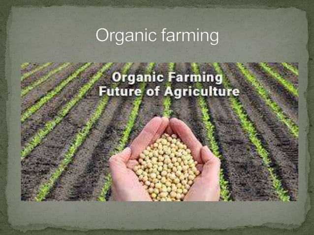 Rural development class 12 Economics | PPTX | Agriculture | Industries