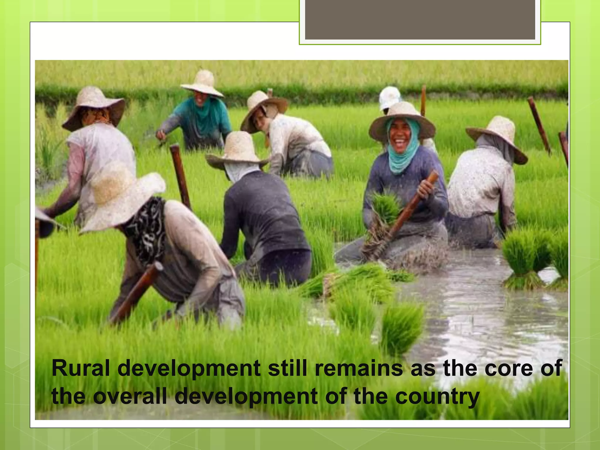 rural development.pptx