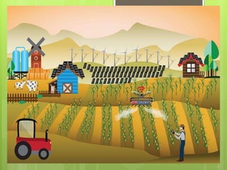 rural development.pptx