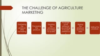 development of rural areas of indian economy | PPTX