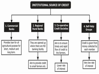 RURAL DEVELOPMENT PART1.pdf