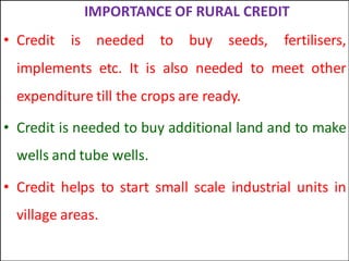 RURAL DEVELOPMENT PART1.pdf