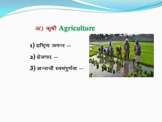 Rural development ppt | PPTX