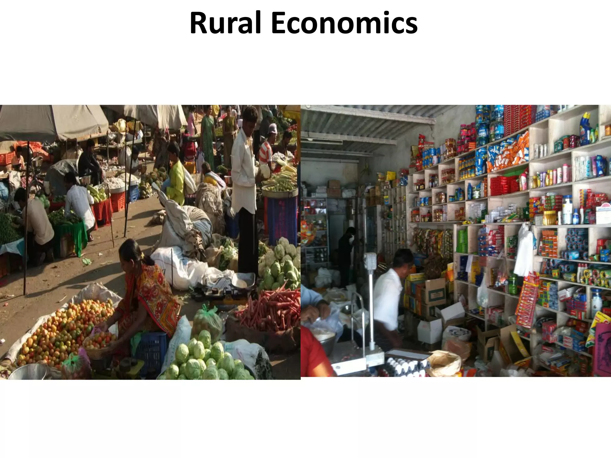 rural economics.pdf