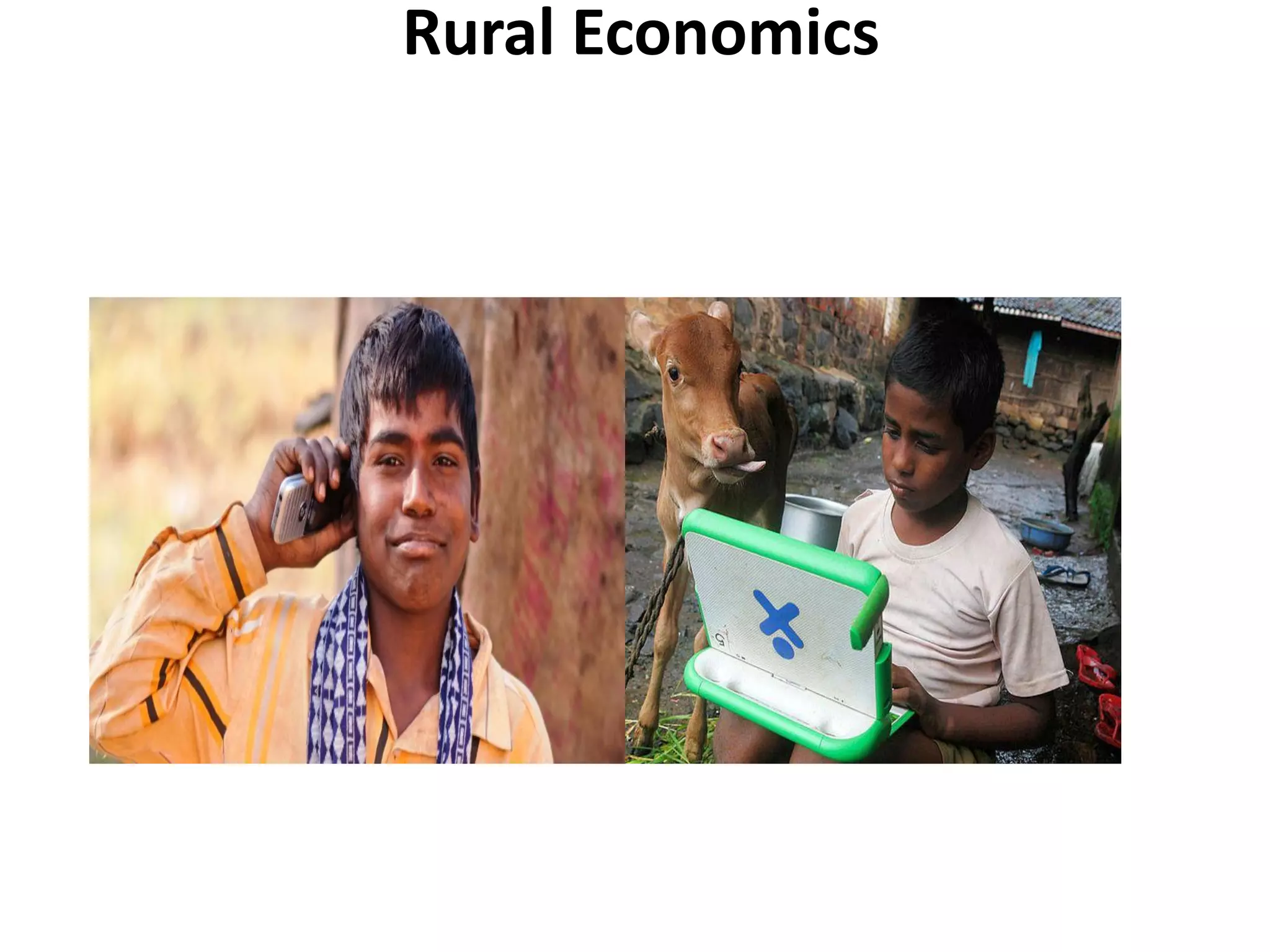 rural economics.pdf