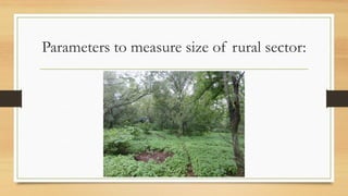 Rural economy of India (Rural Development - Principles, Policies, and ...