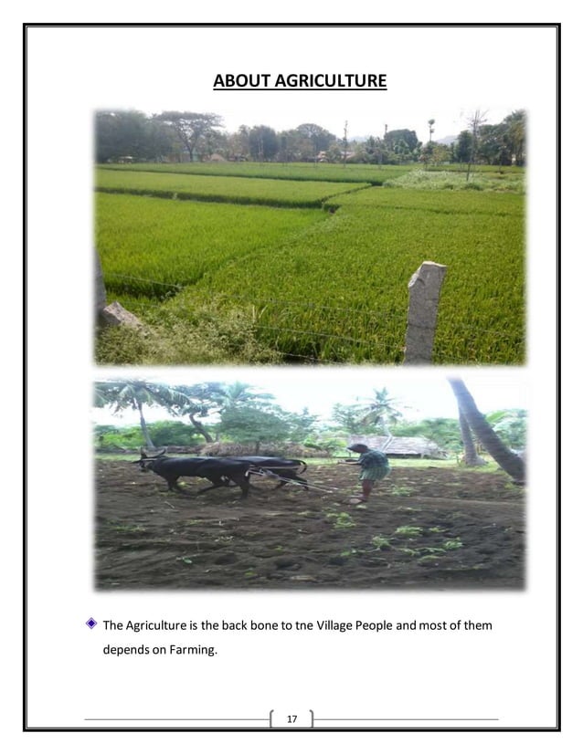 Rural immersion programe | DOCX