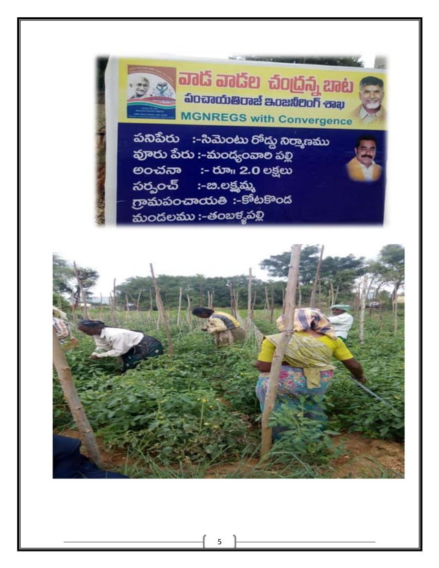 Rural immersion programe | DOCX