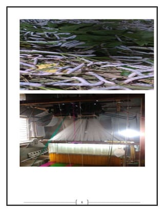 Rural immersion programe | DOCX