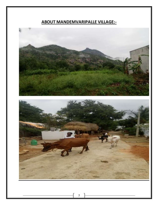 Rural immersion programe | DOCX