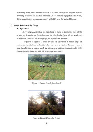 Rural immersion programme by prahlad.k & team | PDF