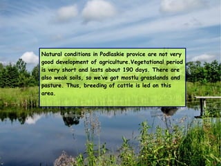 Rural landscape | PPT | Agriculture | Industries