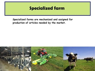 Rural landscape | PPT | Agriculture | Industries