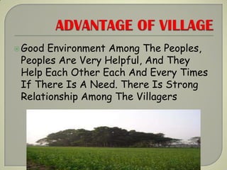 Rural Life Better Than Urban Life opinions | PPTX