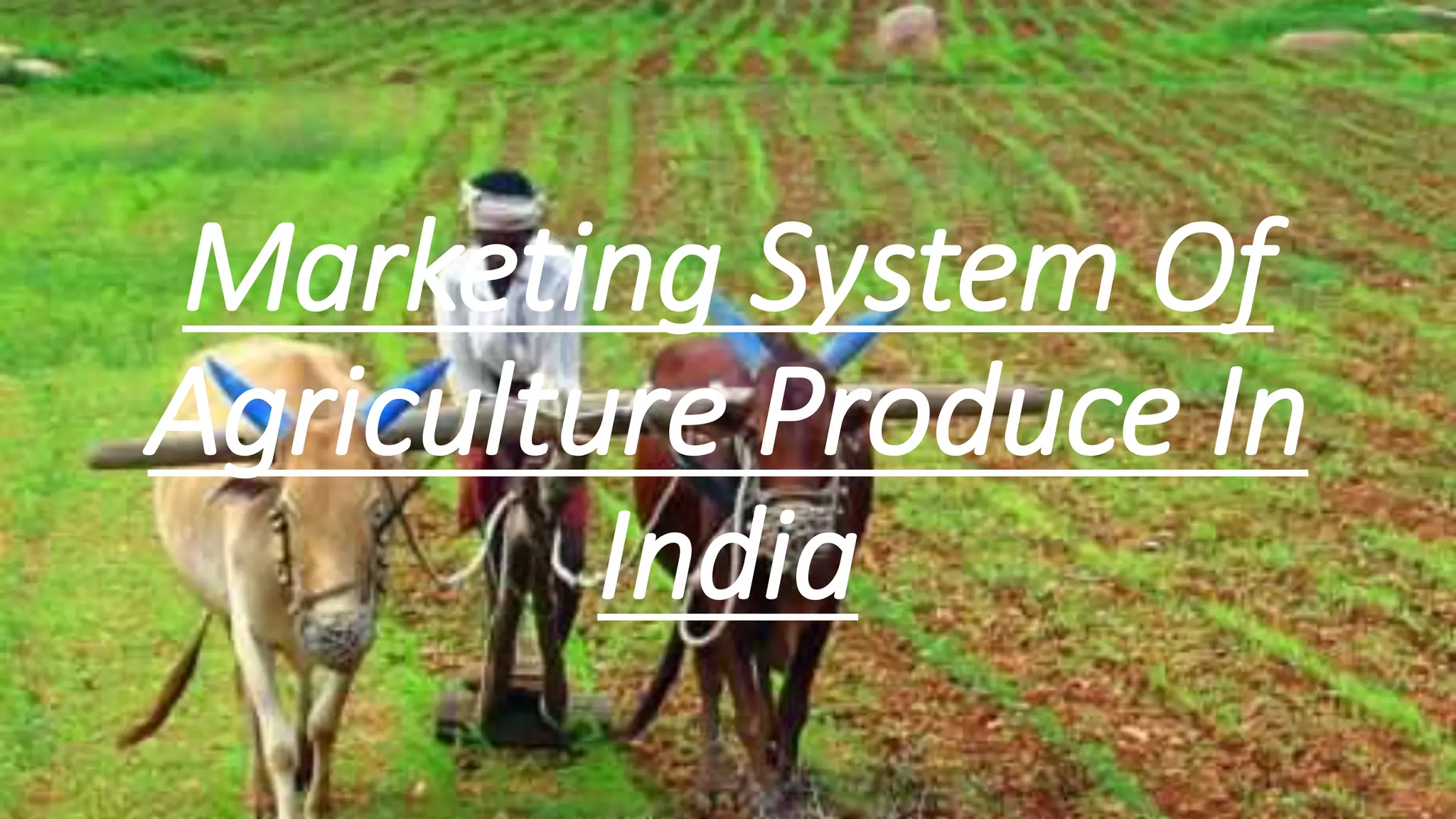 Marketing system of agriculture produce | PPTX