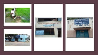 Rural Immersion Programme | PPTX